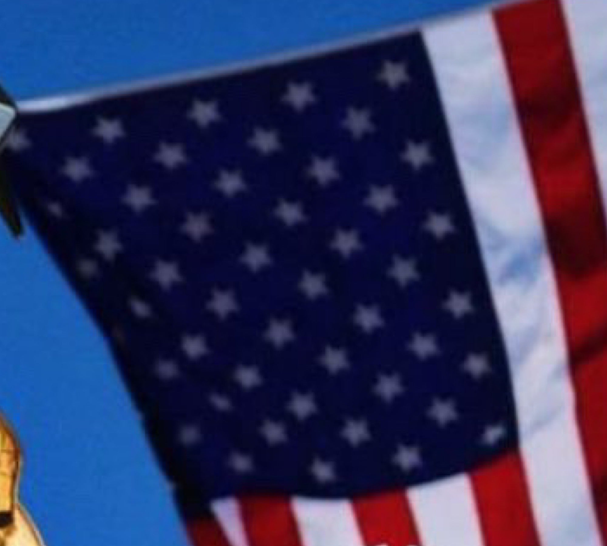 American Fire Brigade